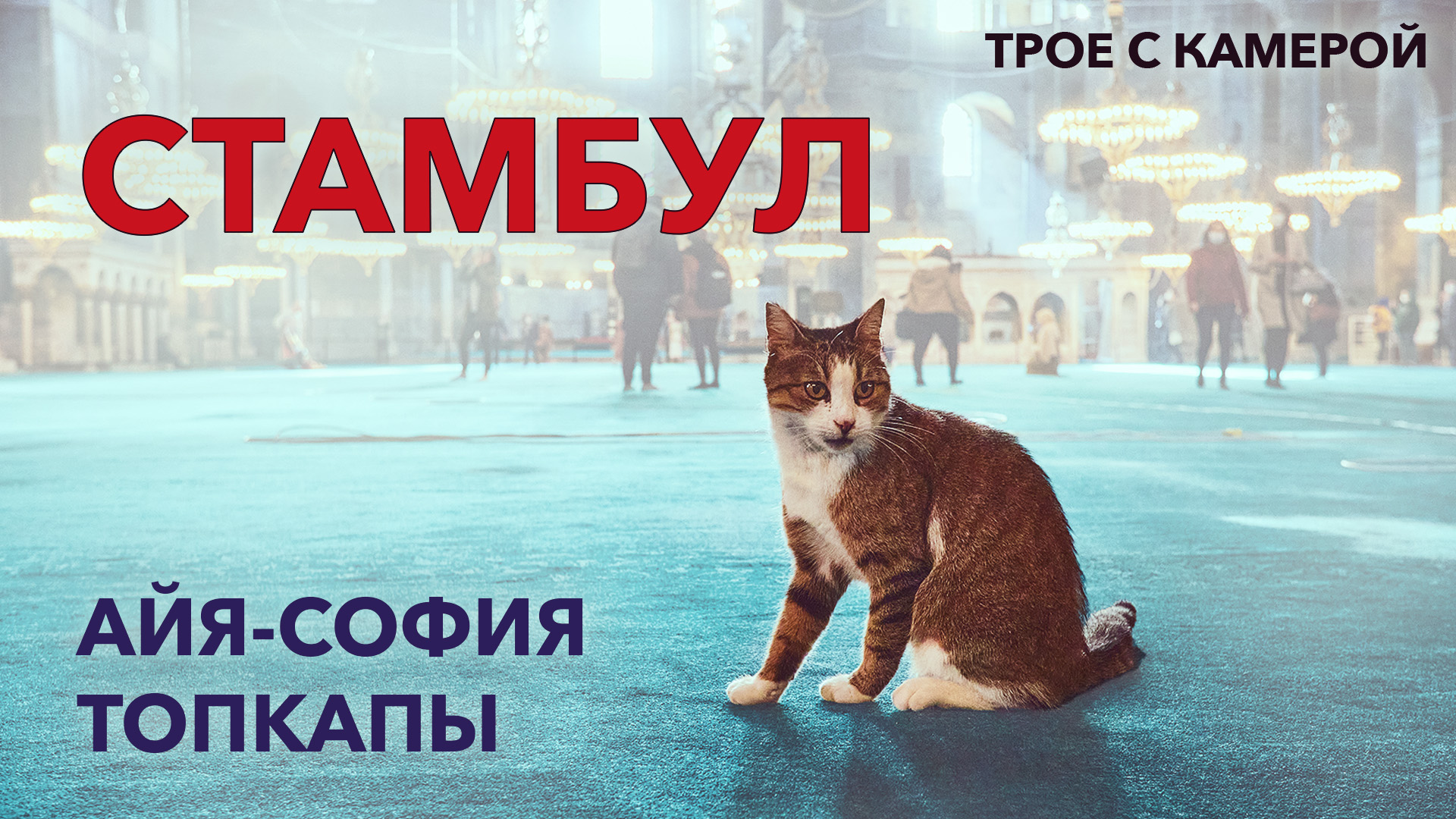 Стамбул. Часть 1. Айя-София, Топкапы и немного города