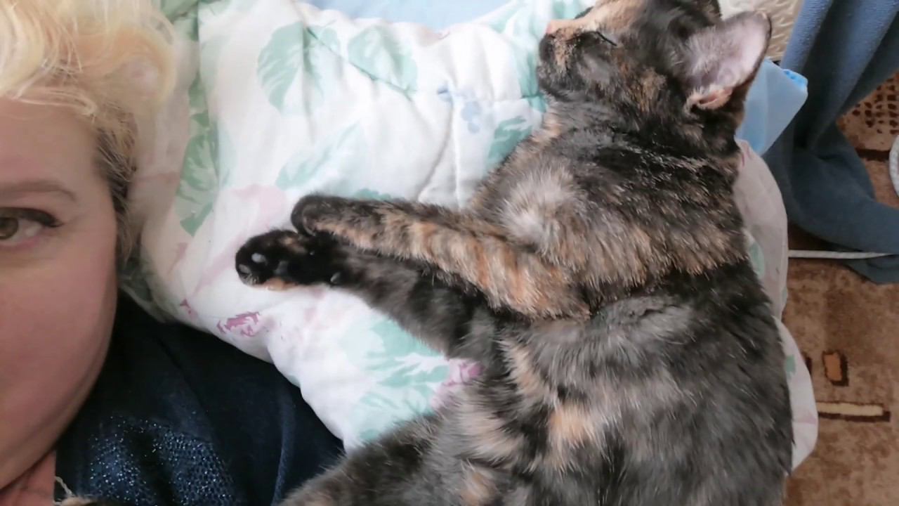 Мурка спит.