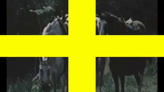 1 слепой музыкант 12 шк