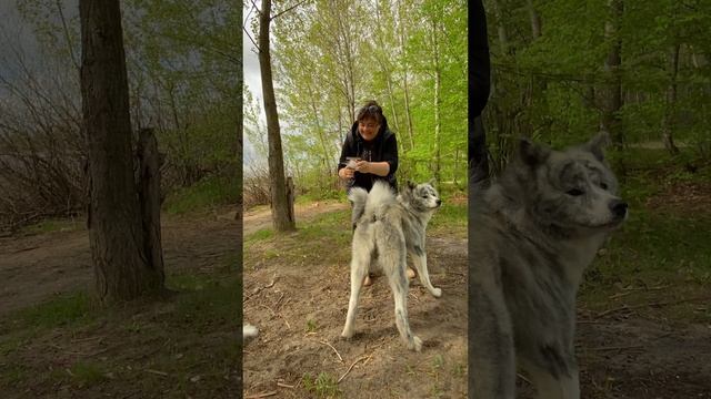 Линька началась!