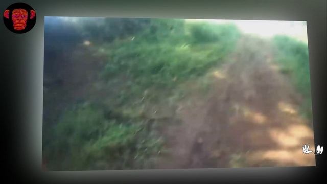 Крептиды и Странные Существа Заснятые Очевидцами.mp4