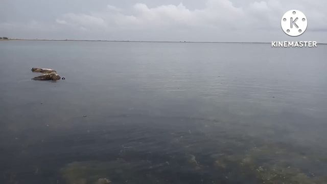 К морю....25.07.22_Короткое путешествие на побережье западного Крыма.