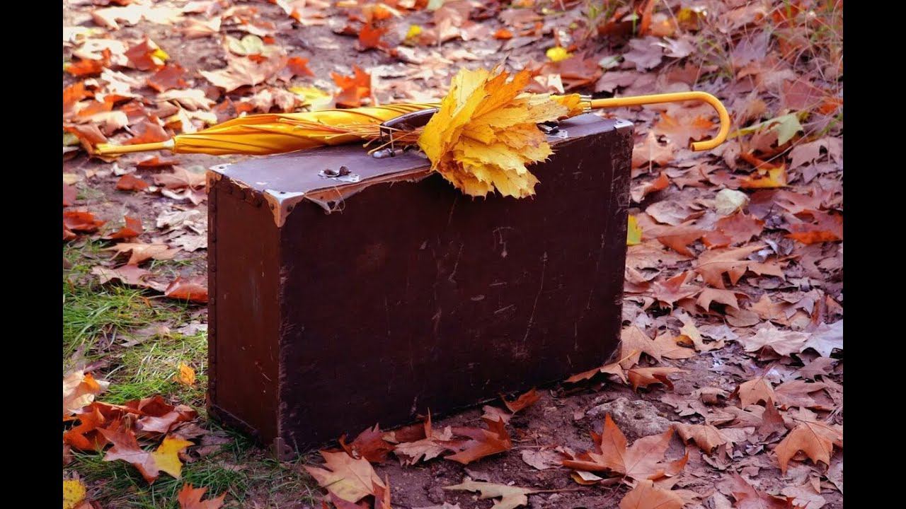 По мотивам уходящего лета (читает автор)