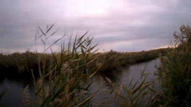 (18 ) Вечёрка удалась (охота на утку - 2019).mp4