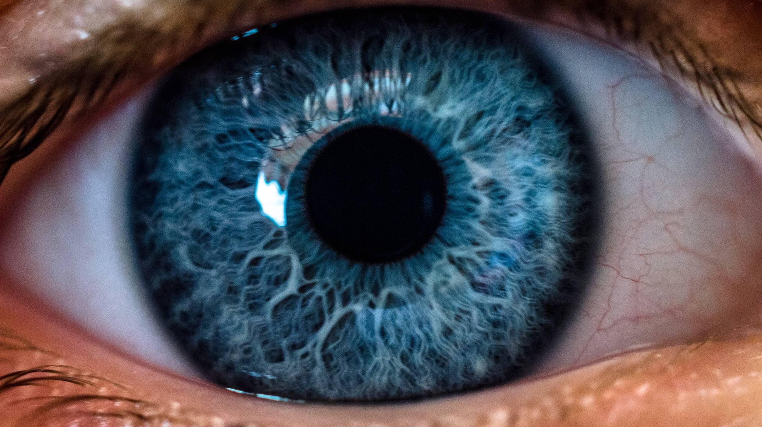 Dune_ Awakening  Сюжетный Трейлер - Русский Язык