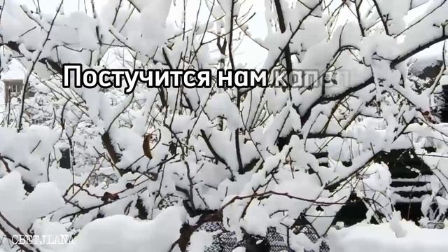 ...в пригороде Краснодара 21 января 2024г. было снежно ❄️❄️❄️...