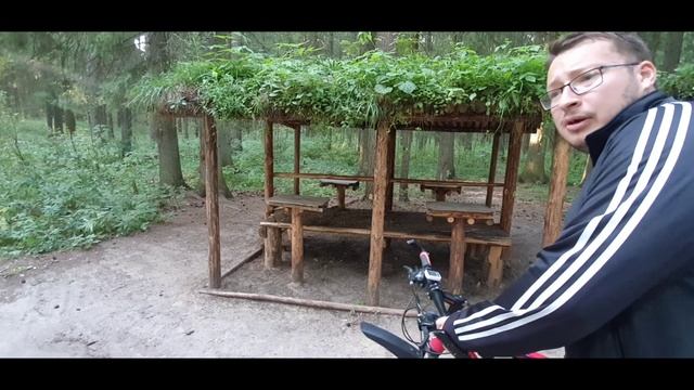 Прогулка по Быгольскому лесу 2 часть.mp4