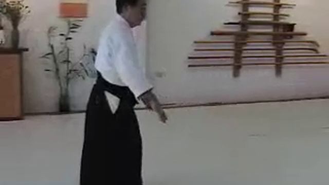 Айки-Тайцзи-1.mp4