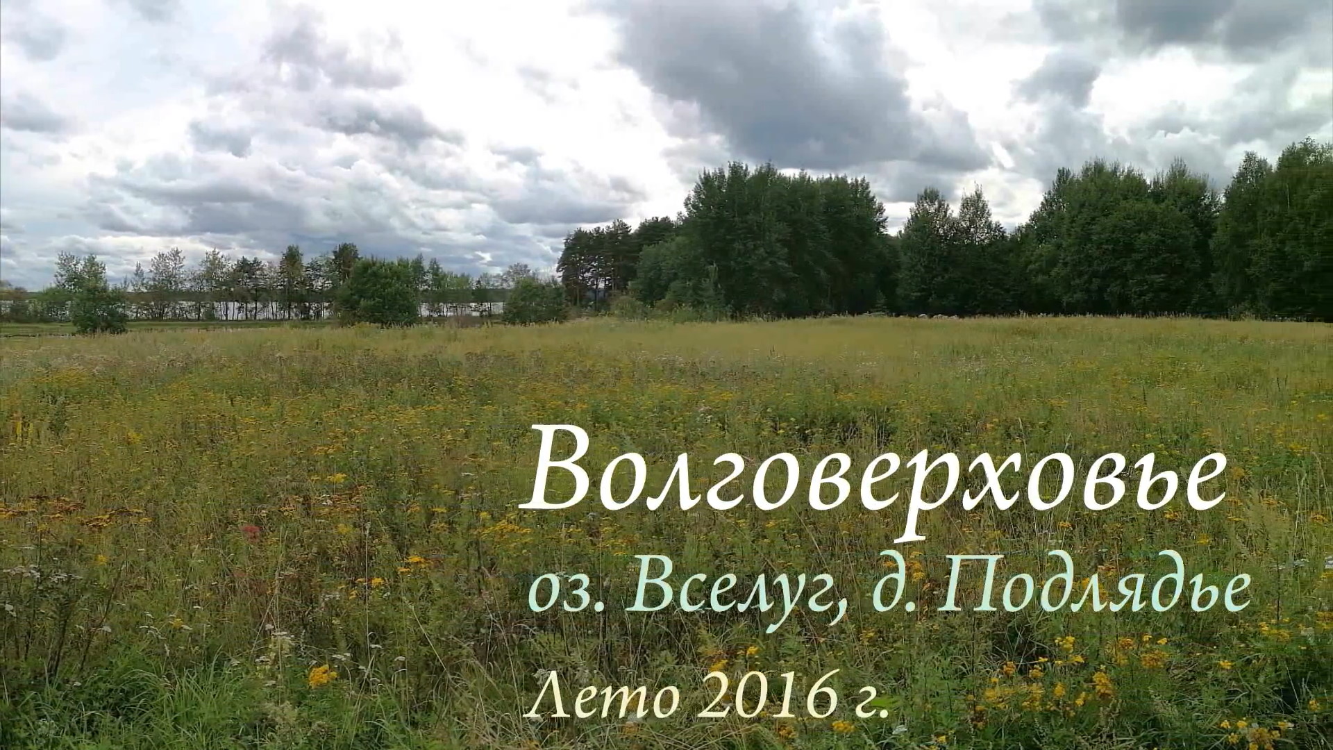Моя деревня на Вселуге. Волговерховье. Природа, рыбалка. Лето 2016 г.