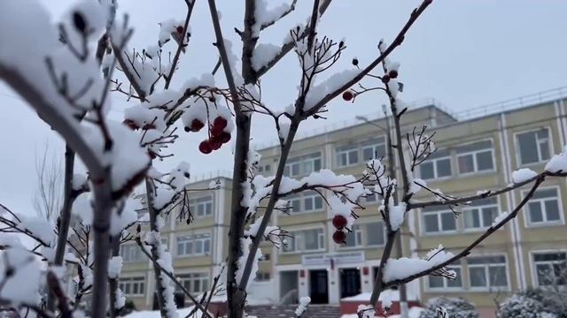 Новогоднее поздравление от студенческого объединения "Живое право"