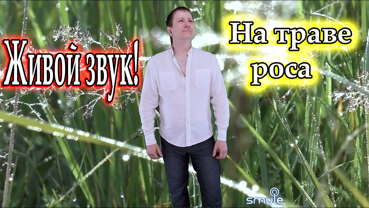 Вячеслав Малежик - На траве роса (cover version)
