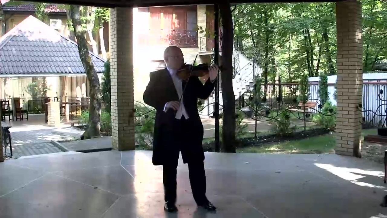 Музыканты на встречу гостей, welcome - артисты на свадьбу, скрипач на мероприятие в Москве заказать