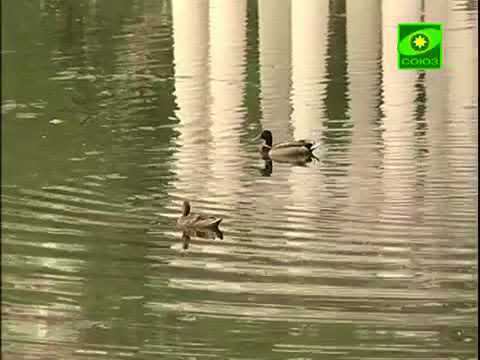 Эпитафия (Человечки)