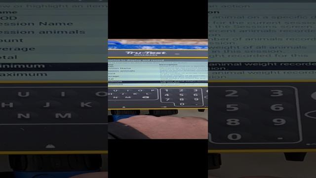 Весовой индикатор Tru-Test ID5000. Настройка главного экрана.