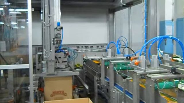 Групповая упаковка майонеза-(480p30).mkv