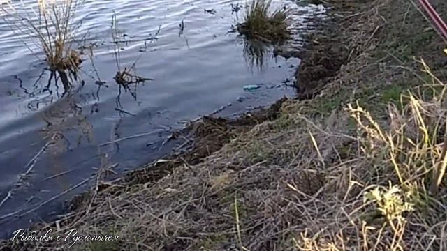 Рыбалочка на карася. Ловля донной снастью.mp4
