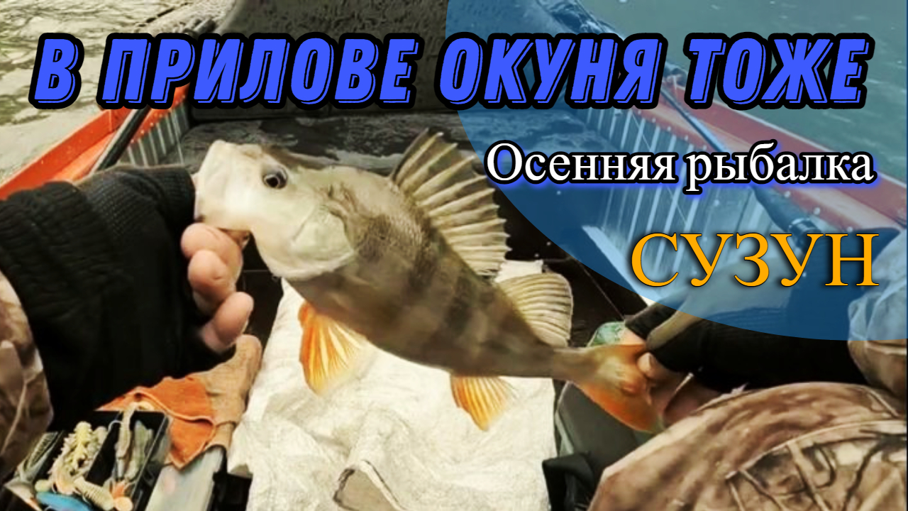 Рыбалка на Оби (Сузун) 26 сентября 2022 г. Спининг, джиг, рыбалка по Судаку 2 день.