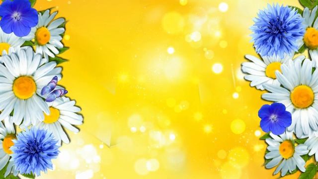 Футаж. Полевые цветы. Бабочка. на желтом фоне.