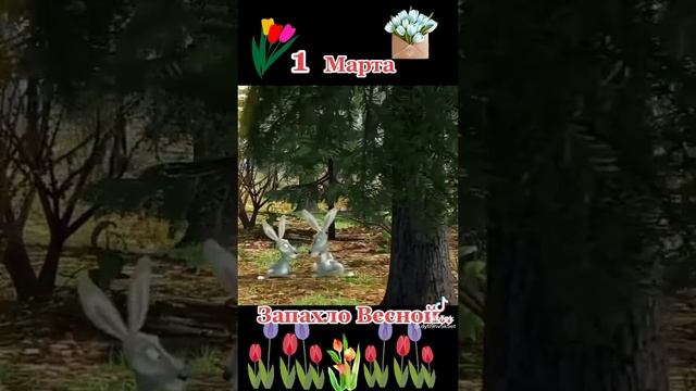 #1марта #с1марта #весна #запахловесной #юмор