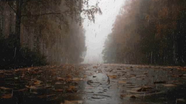 Виталий Дубинин "Третье ноября"