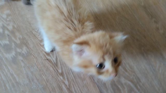 Главное, что попе, мягко)