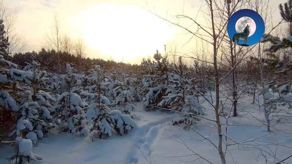 ОХОТА НА ЗАЙЦА С ПОДПИСЧИЦЕЙ * КРАТКИЙ КУРС МОЛОДОГО БОЙЦА
