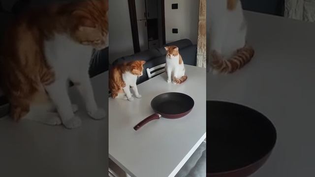 Называйте букву или слово целиком