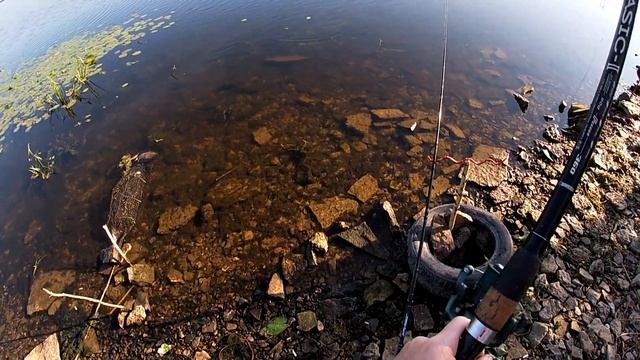 Ловля леща на фидер,на реке Великая!!!