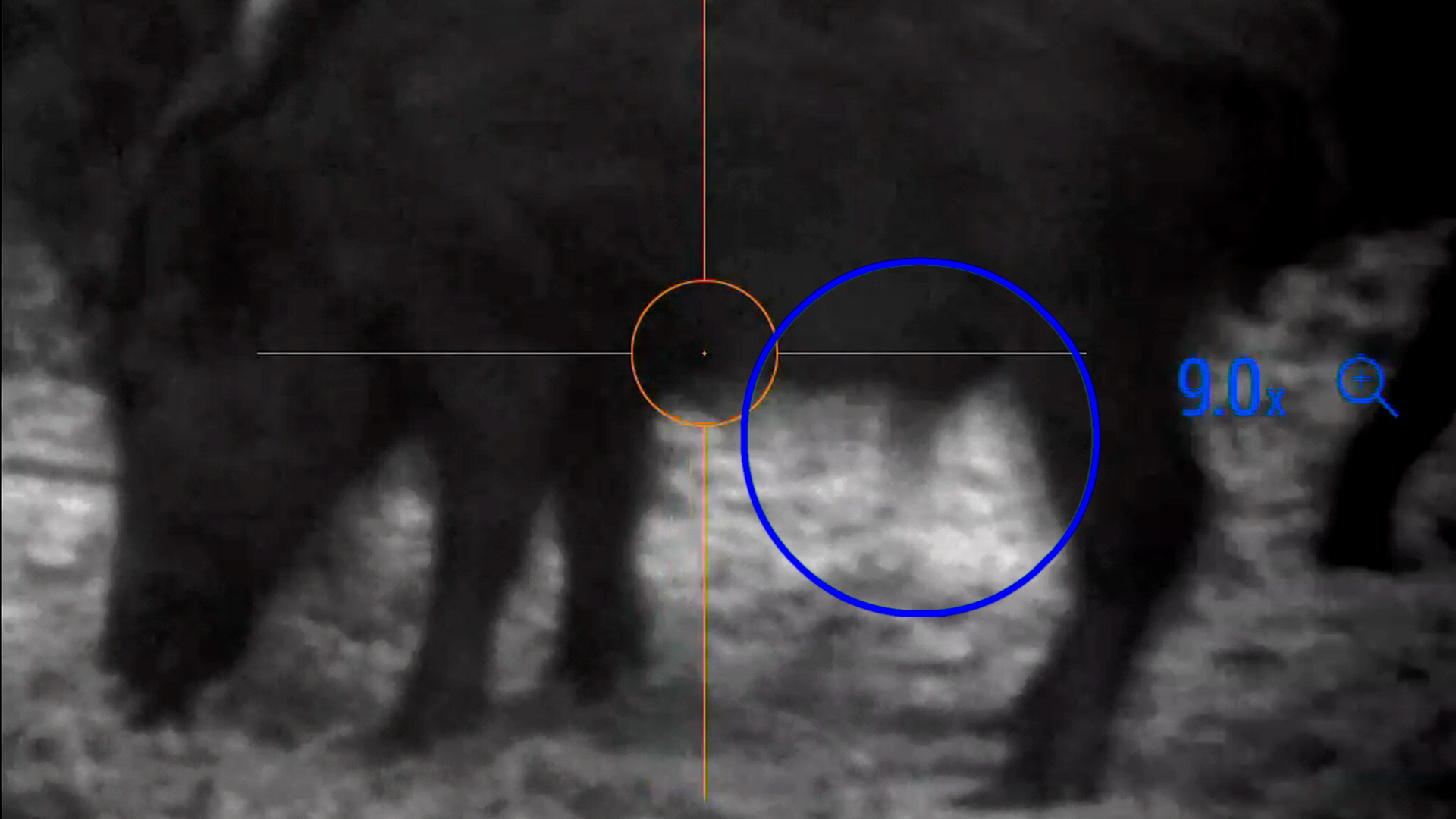 ОХОТА. КАБАНЫ НА ВЫШКЕ.