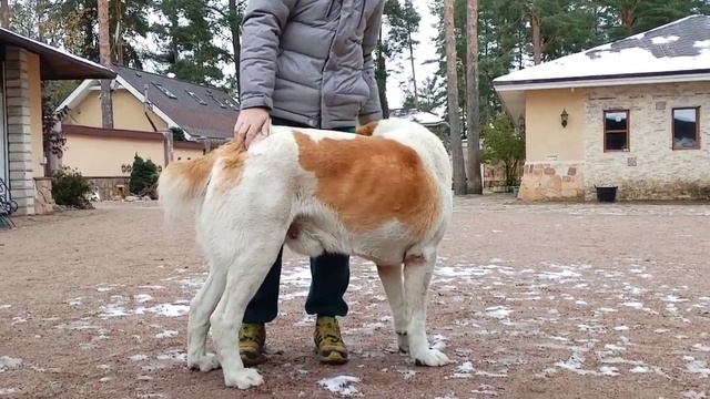 Как выглядит экскурсия в питомнике САО __ УСАДЬБА КАРХУЛА __