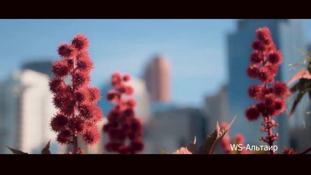 Билет на Магадан