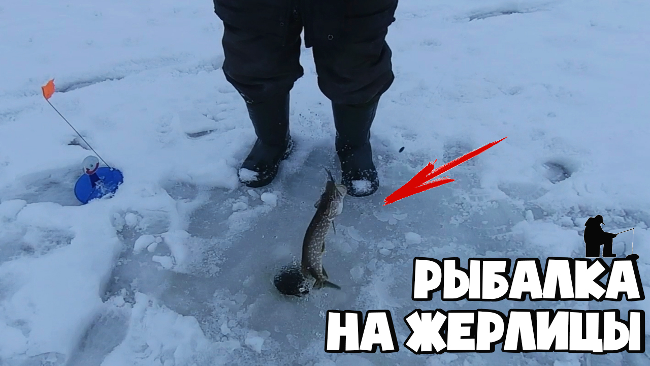 ЗИМНЯЯ РЫБАЛКА НА ЖЕРЛИЦЫ! МЫ НЕ ОЖИДАЛИ УВИДЕТЬ СТОЛЬКО ПОКЛЕВОК