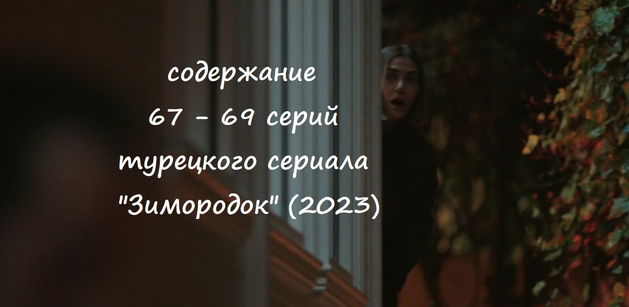 Содержание 67, 68 и 69 серий турецкого сериала "Зимородок" (РФ, 2023)