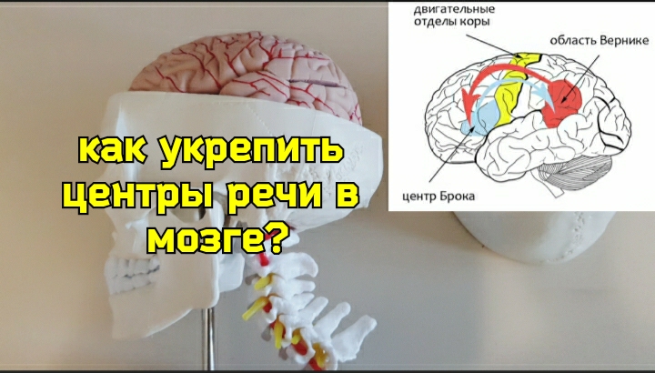 Мозг стал хуже работать? Укрепите шею и мозговые центры речи специальными упражнениями