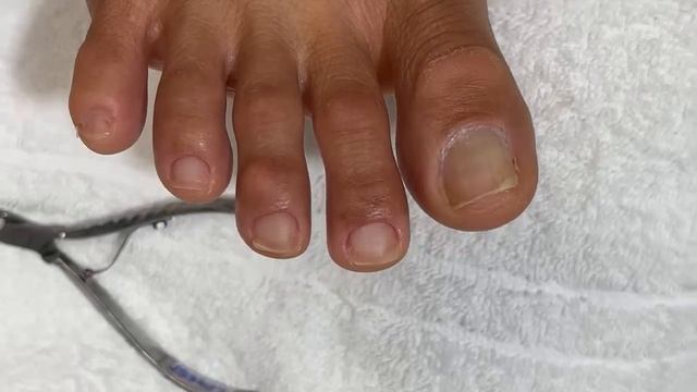 Fram Alves unhas (www.youtube.com/@FramAlvesunhas) framalvesunhas.com.br/manicureexpert2