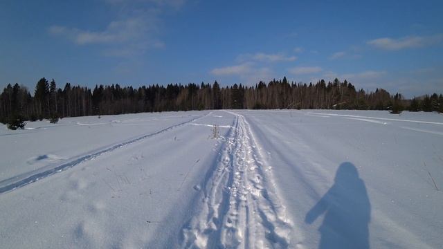 В зимний лес 9 февр 2022 2 часть