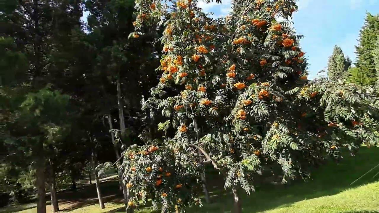 Мамаев курган 05.08.2021