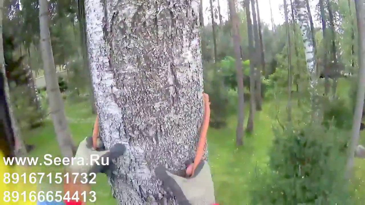 Спил деревьев г. Орехово-Зуево