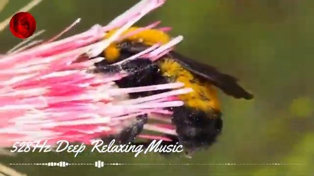 Исцеляющая музыка