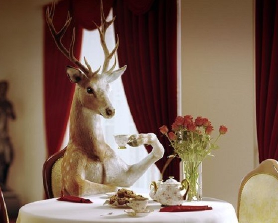 МД - мужское половозрелое движение. Тренинги о прискорбности женщин. Алени, их злые бабы и Я . (18+)