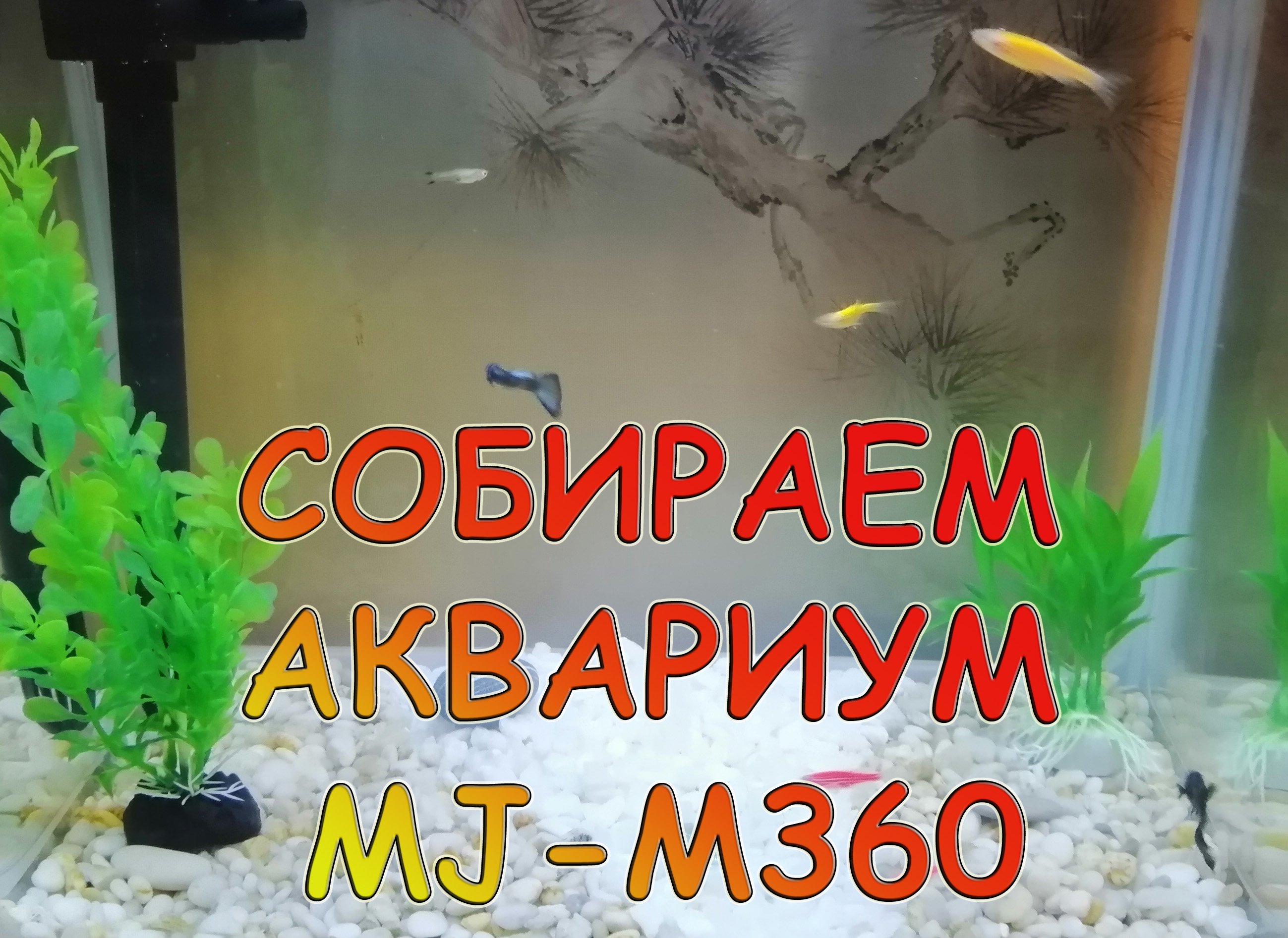 Аквариум MJ-M360