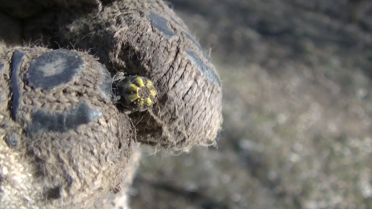 Открытие сезона 5 марта 2017 (классная находка и загаживание природы)