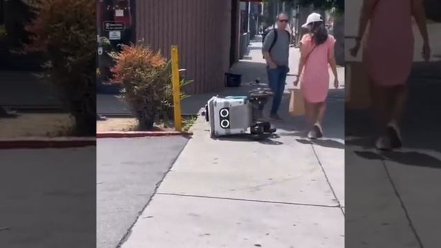 Пример высокоразвитой  страны и культуры общества. Это вам ни какая-то быдло-Россия