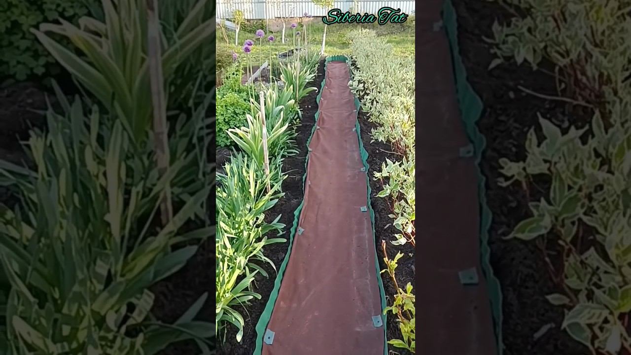 ДЕЛАЕМ ДОРОЖКИ ЗА ЧАС