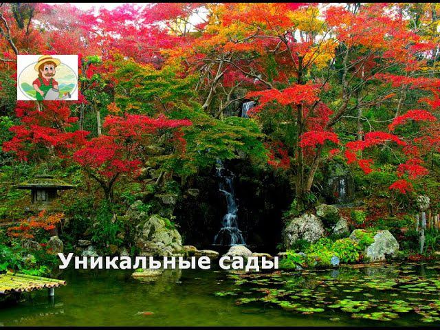 (Более кликабельный, для YouTube)Название: ТАКИХ САДОВ вы еще не видели! 🔥 Идеи, от которых захва