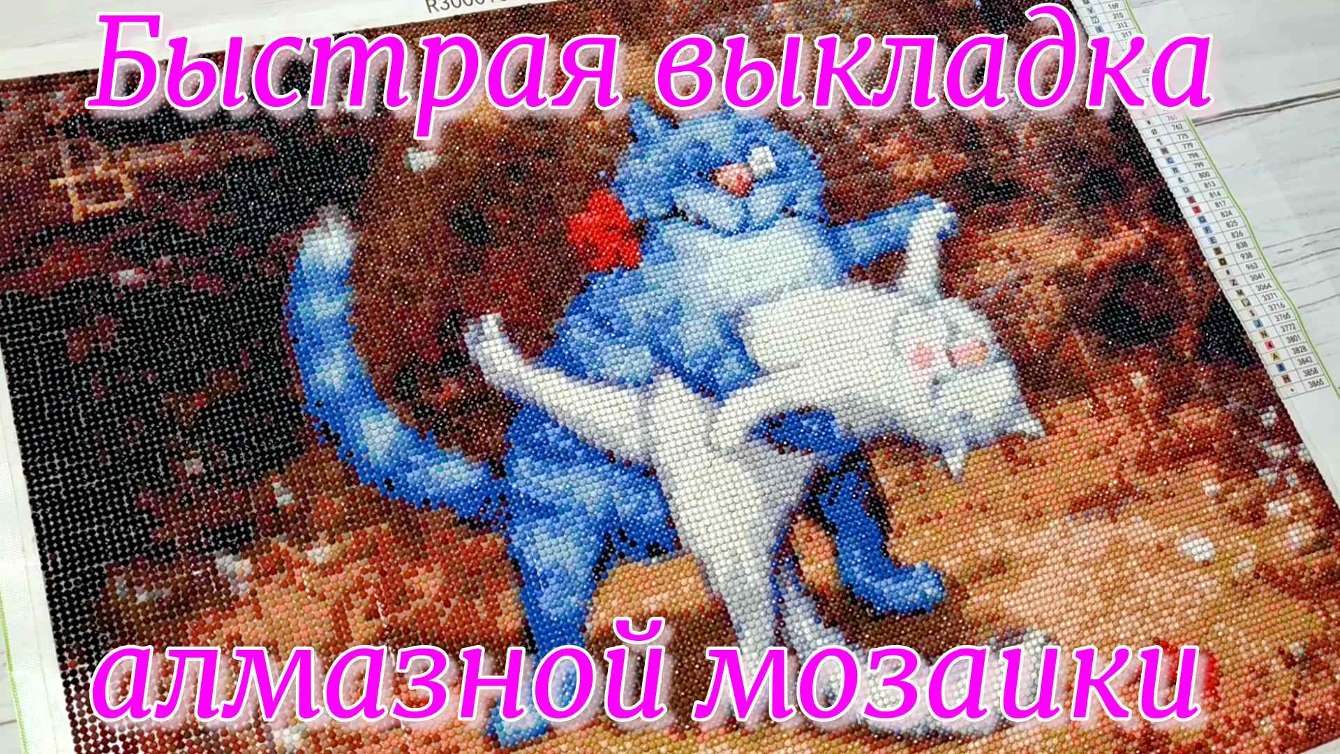 Быстрая выкладка алмазной мозаики _Танцующие коты_. Таймлапс.mp4