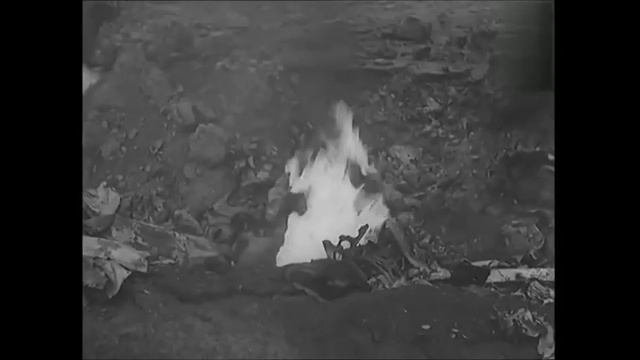 Кинохроника. Немецкий Самолет Падает во Франции 1939. France. German Plane Crashes In France