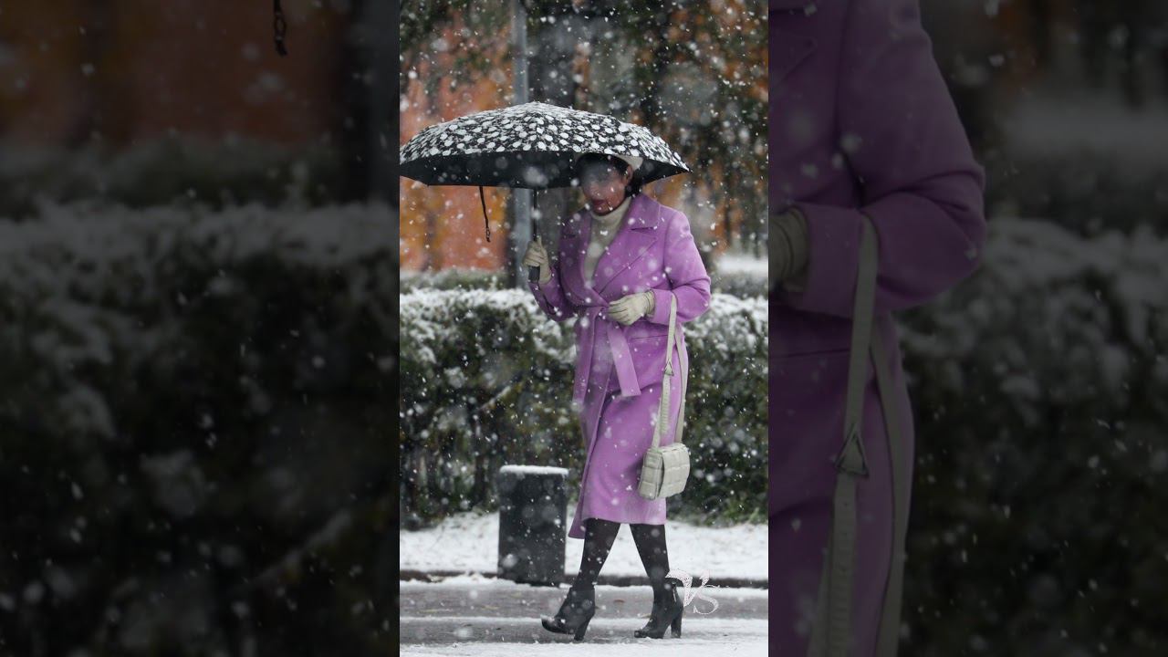 Восхитительное стихотворение 'Зима недаром злится'! Respect #shorts #shortvideo