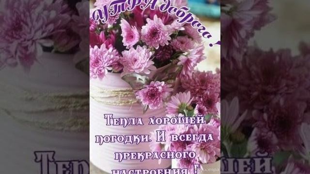 Пусть всегда будет только Доброе утро?Отличного понедельника?