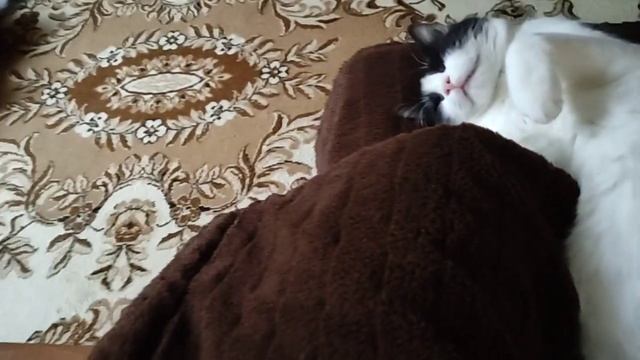 Послеобеденный сон